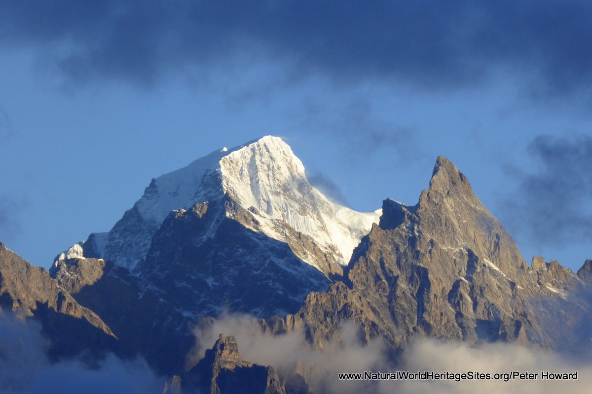 Nanda Devi National Park Flowers Nanda Devi And Valley Of Flowers