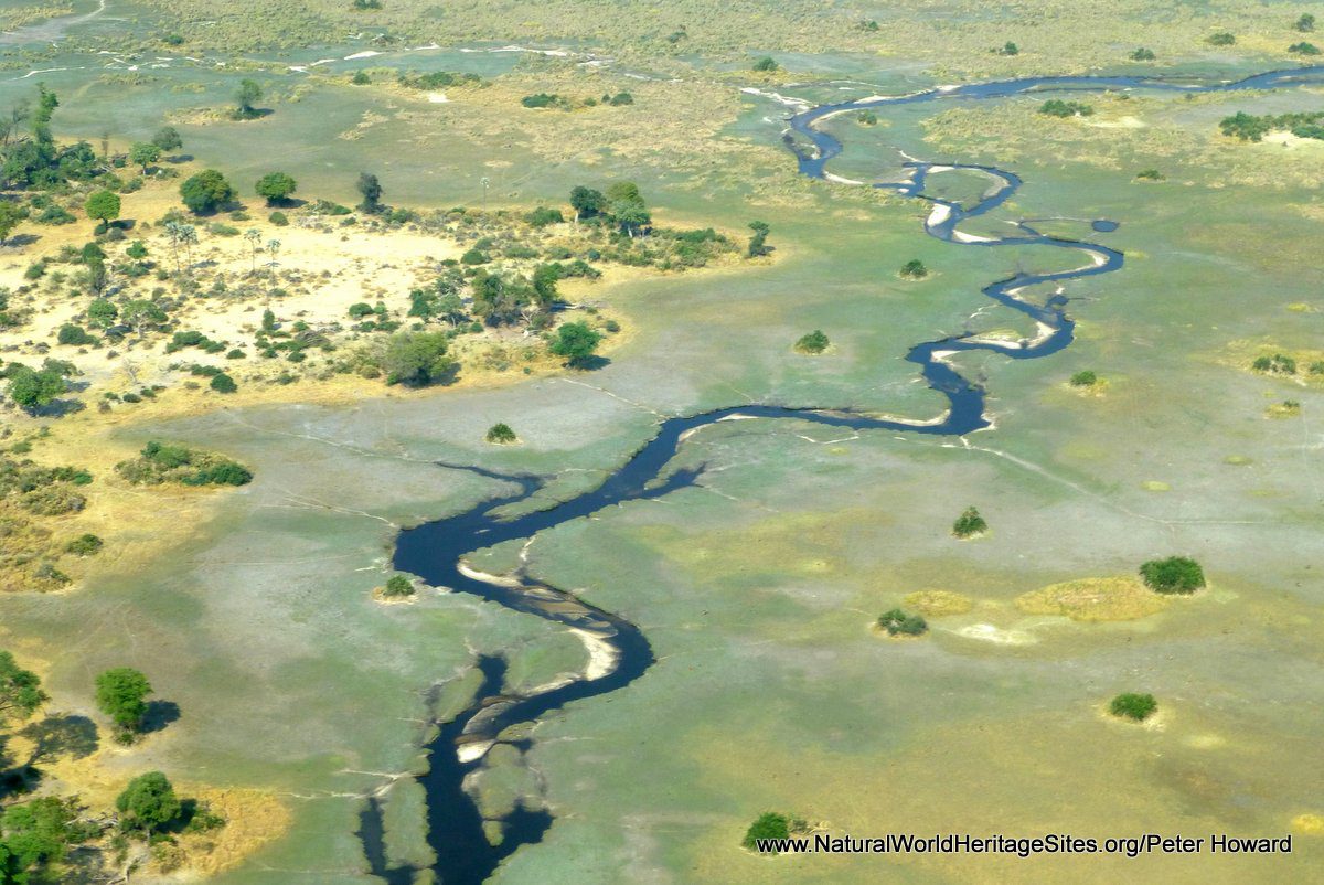 Okavango River Delta
