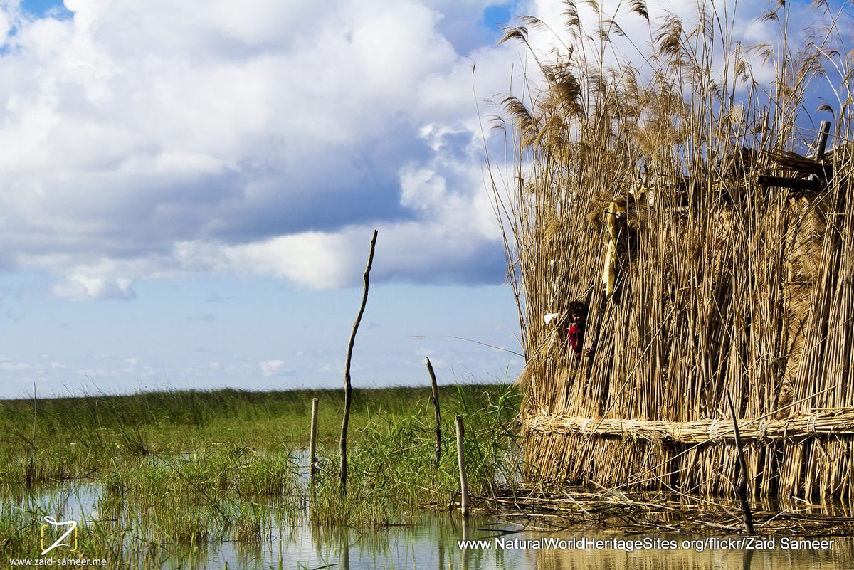 Southern Iraq Landscape