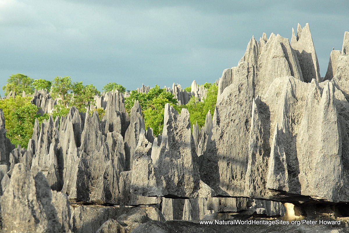 Tsingy De Bemaraha Strict Nature Reserve