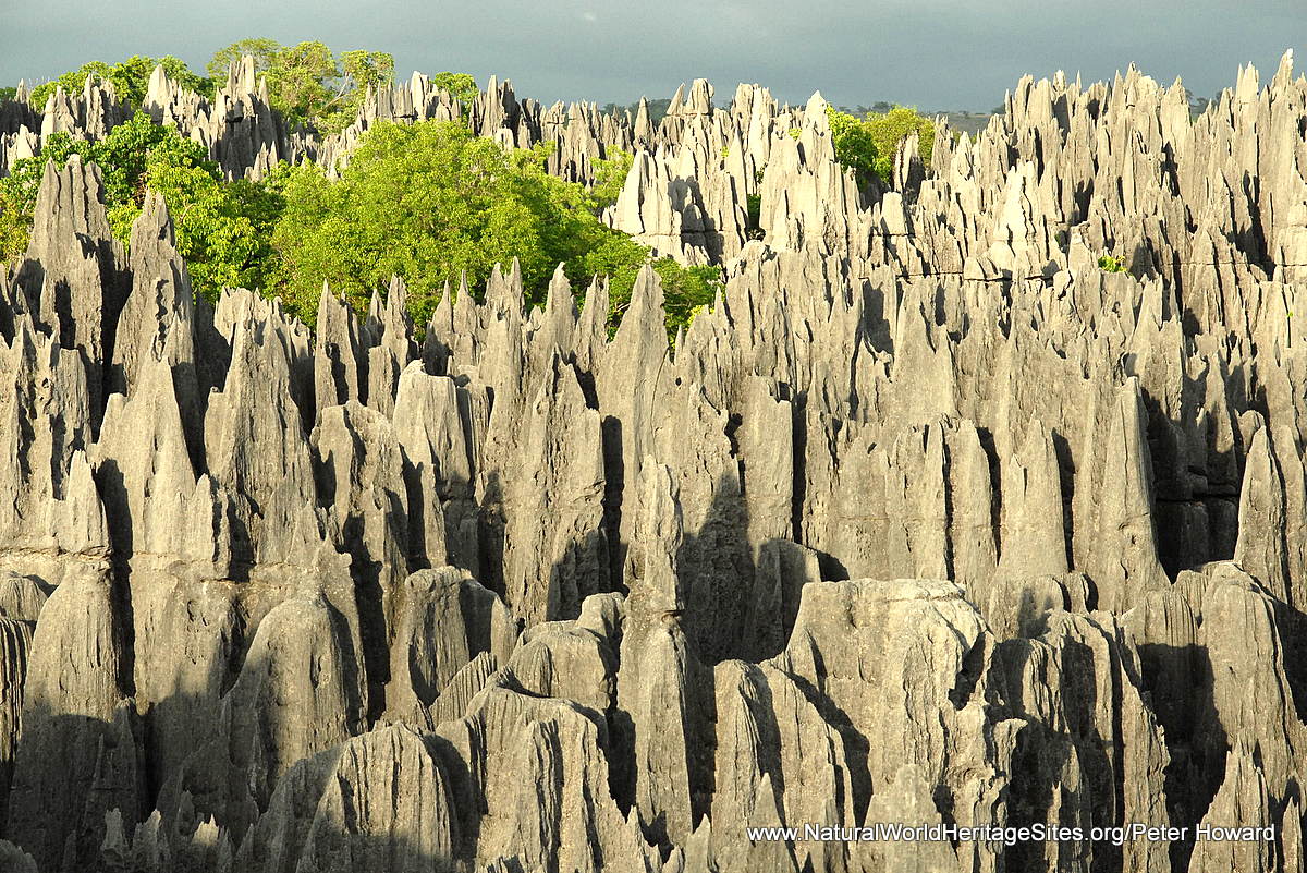 Tsingy De Bemaraha Strict Nature Reserve
