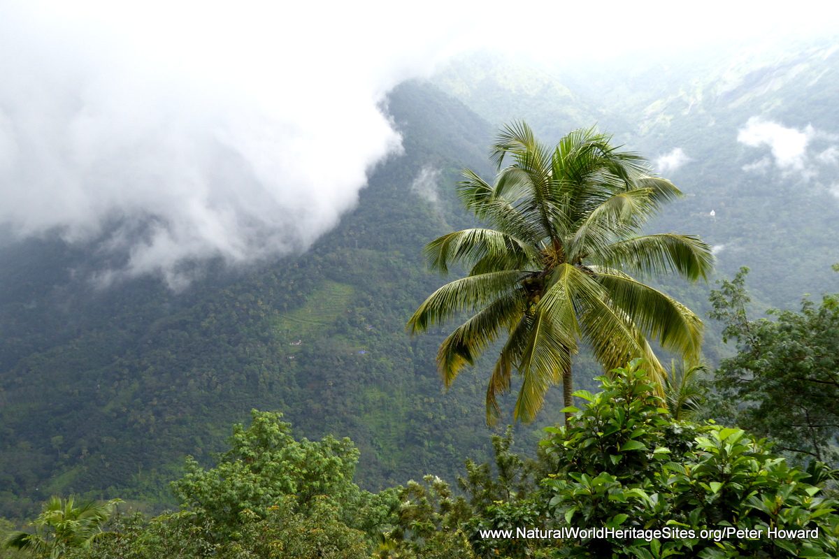 Western Ghats | Natural World Heritage Sites