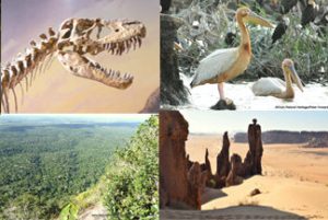 The List - Natural World Heritage Sites